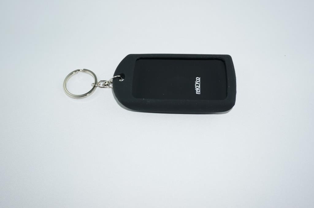 Key Chains for the new Renault Kaycard