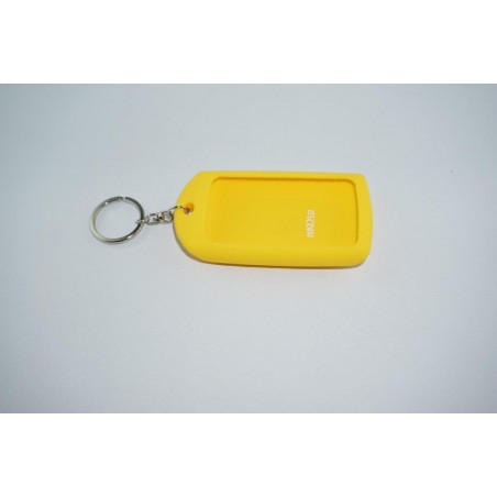 Key Chains for the new Renault Kaycard