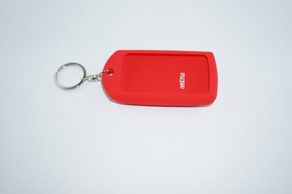 Key Chains for the new Renault Kaycard